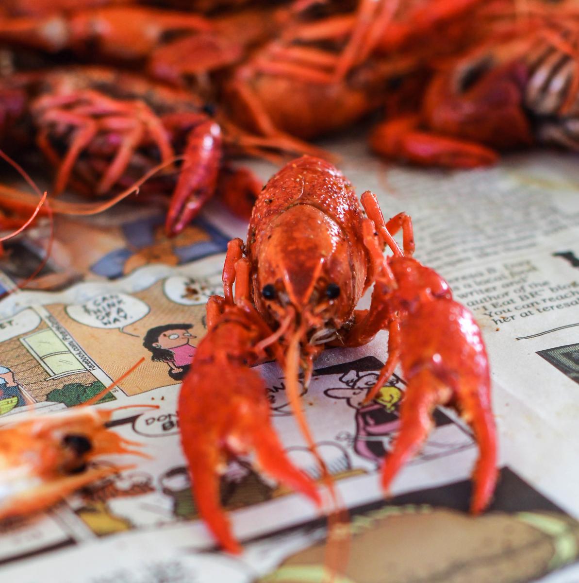 March 17, 2016 | Louisiana Kitchen & Culture